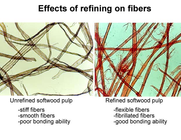 Effects of refining on fibers (KCL, HUT)