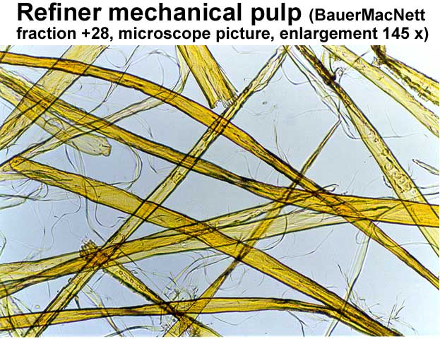Refiner mechanical pulp (BauerMacNett fraction +28, microscope picture ...